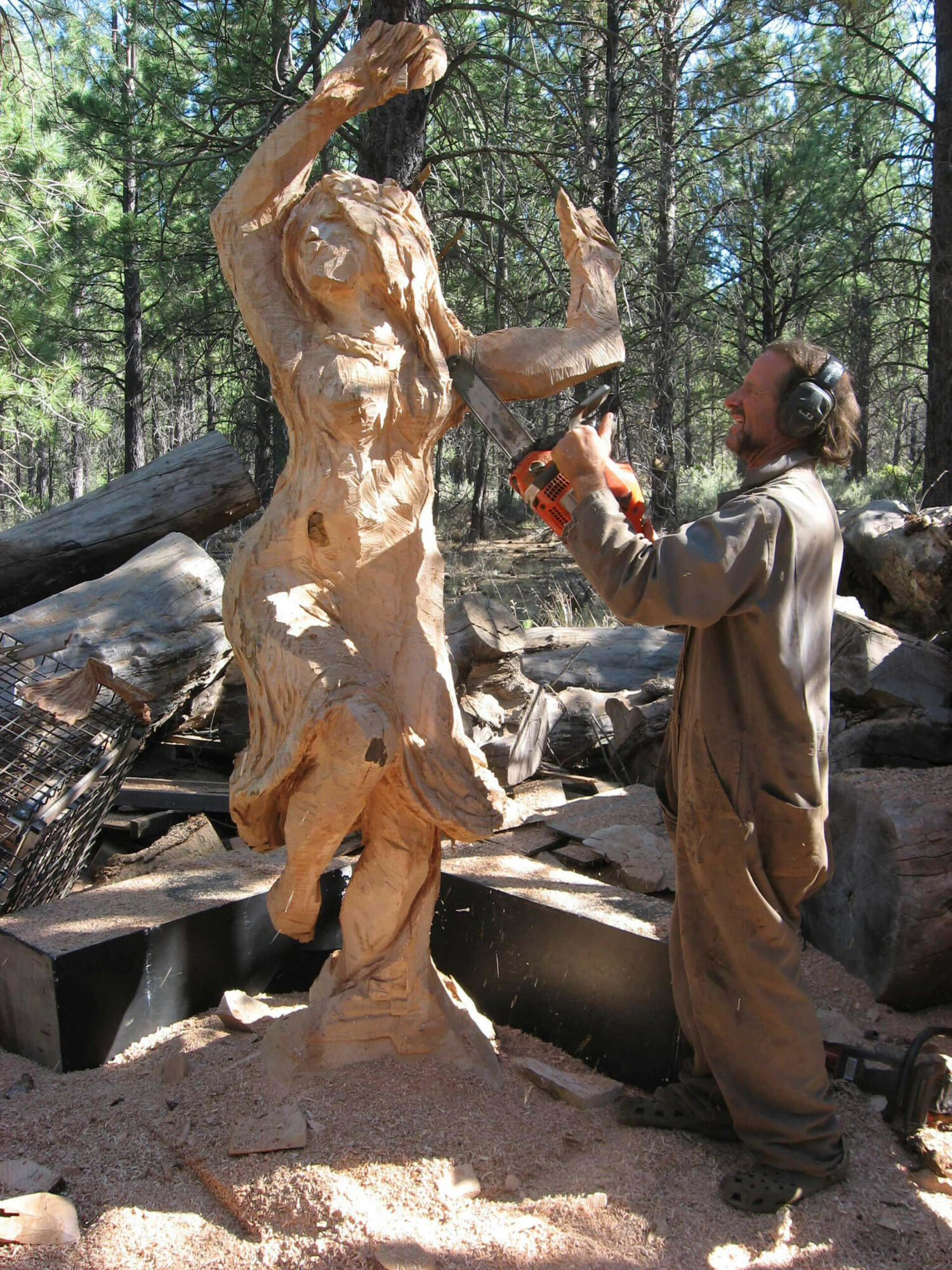 Pine Maiden – Forest Heritage